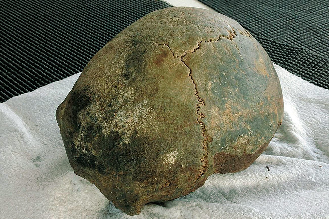 State says 2,300-year-old crab pot skull is Native American | The Daily ...