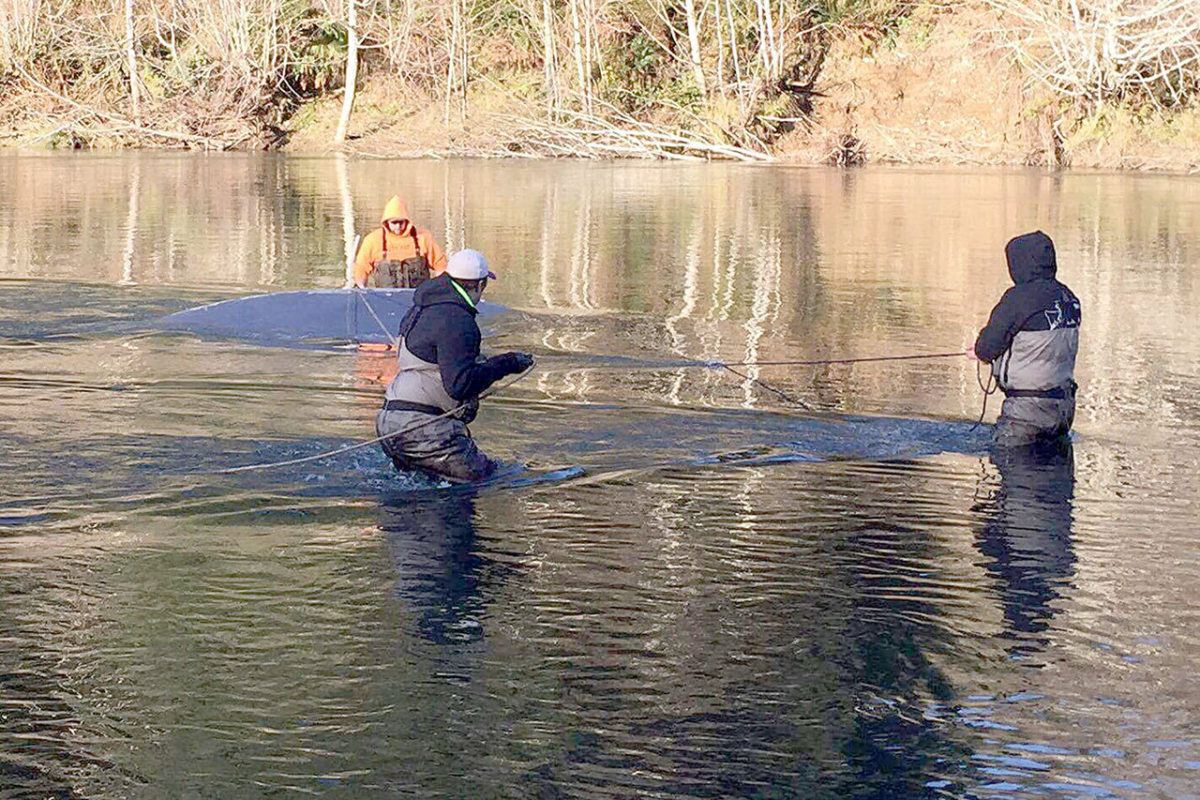 Drift boat recovered after flipping on Humptulips River | The Daily World