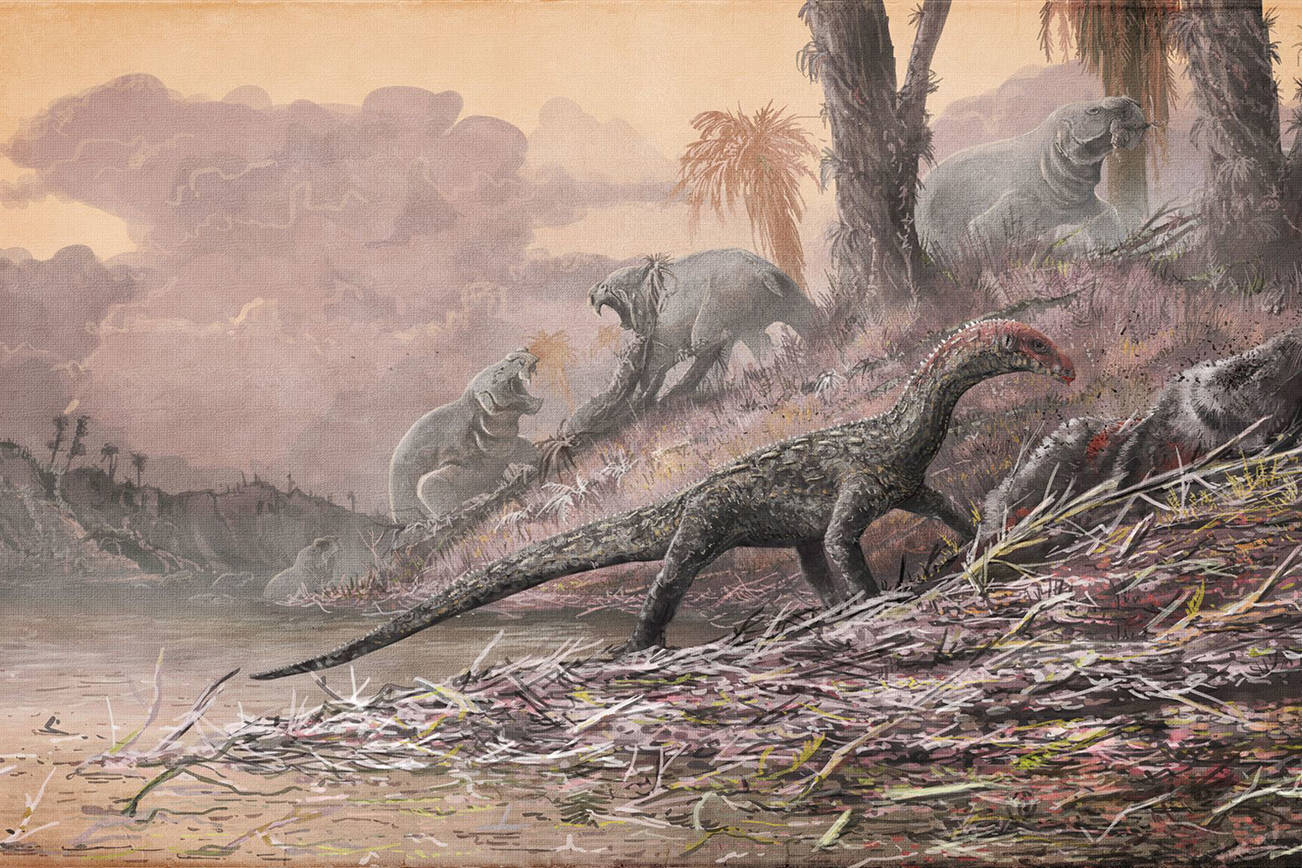Archosaur fossils are forcing scientists to rethink evolution of ...