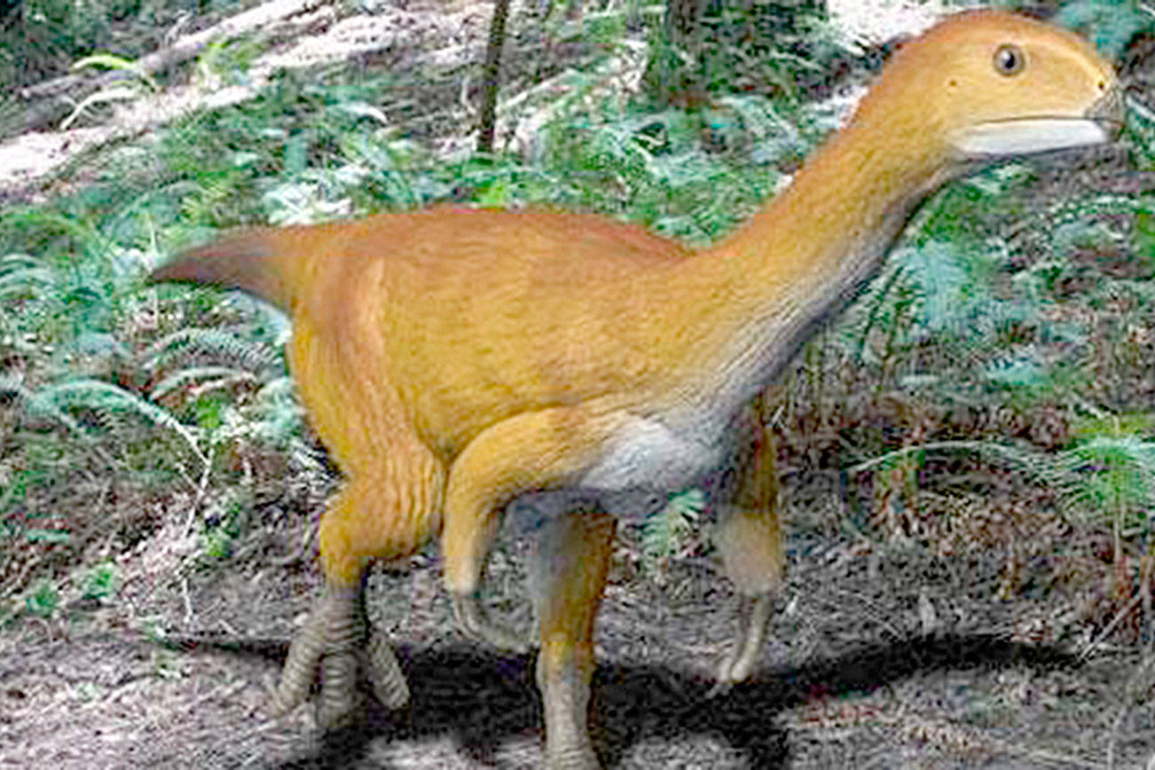 This odd-looking creature may be the ‘missing link’ in dinosaur ...