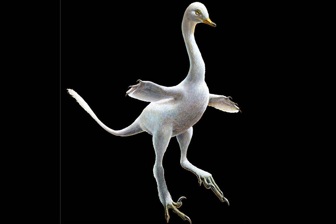 This weird, water-loving dinosaur has claws like a velociraptor and a ...