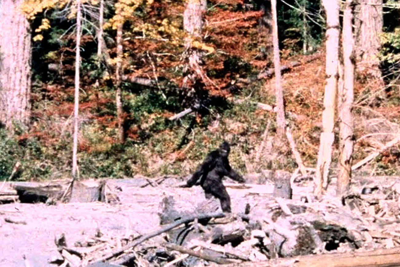 Bigfoot eludes state recognition yet again | The Daily World