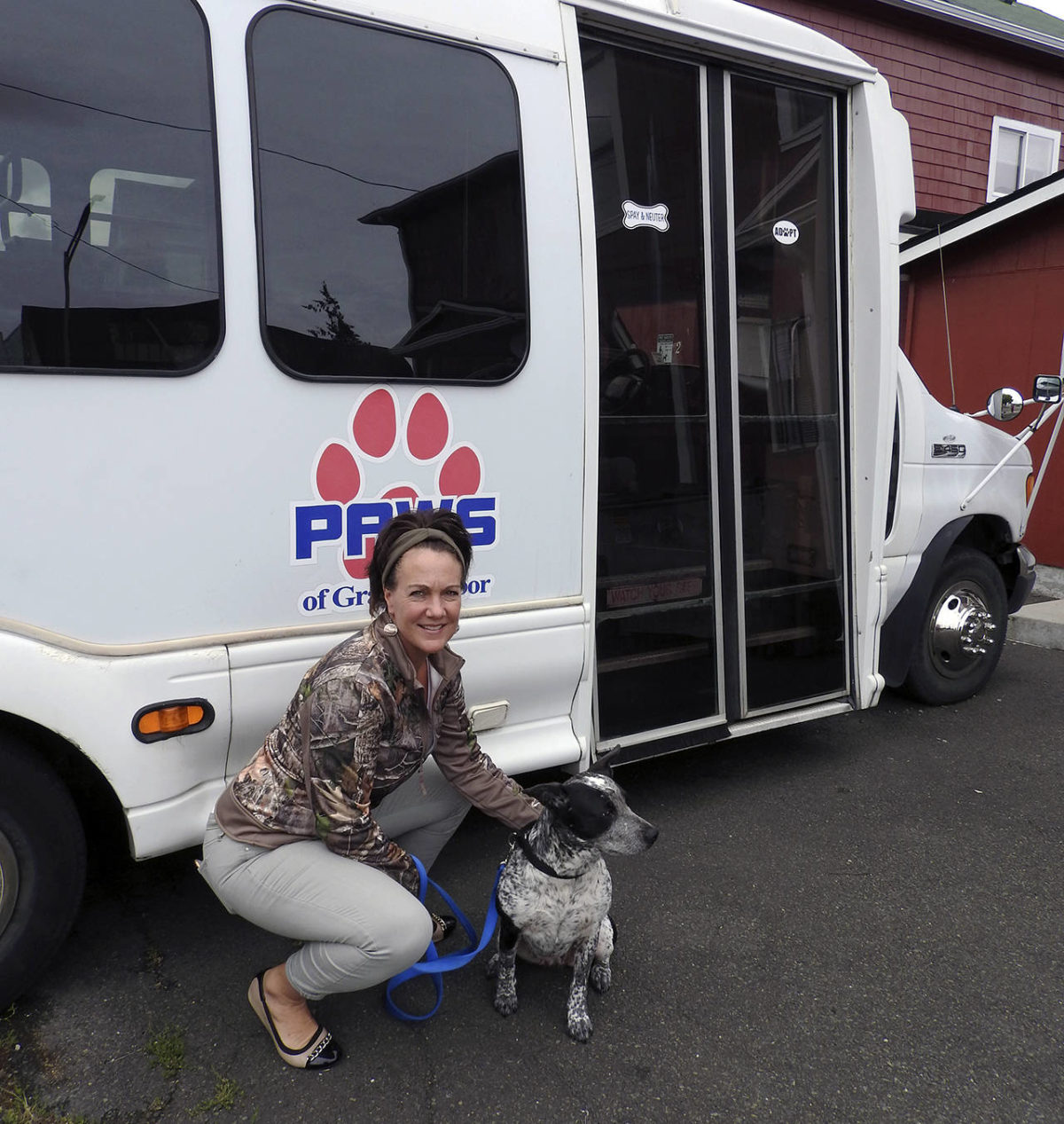 PAWtoberfest organizers hope to raise funds for transport van | The ...