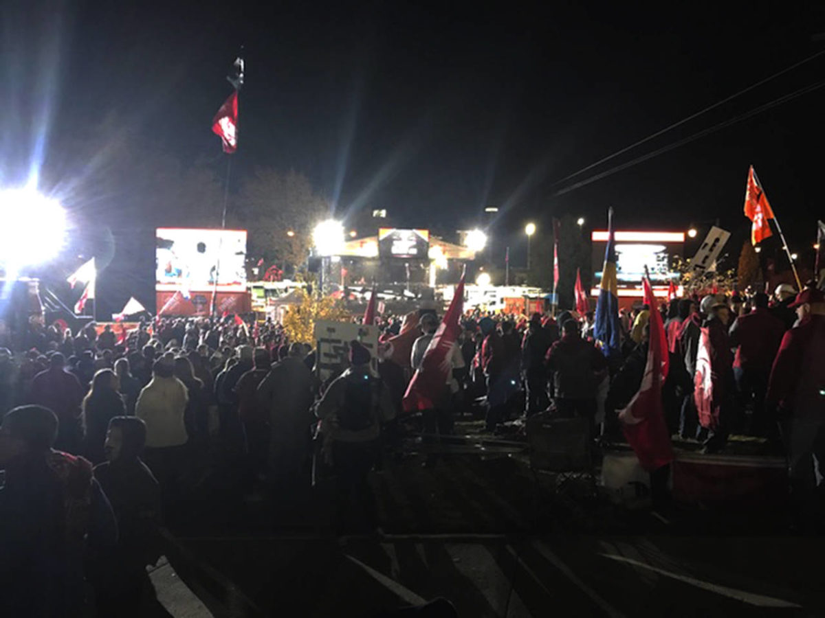 Waving the WSU flag | The Daily World