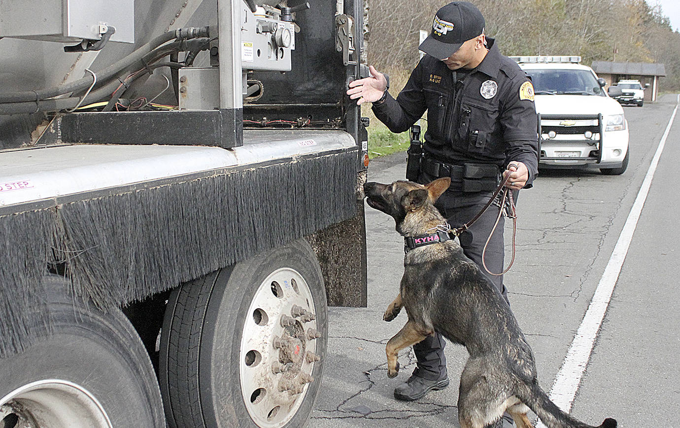 WSP K9 narcotics team to be based in Hoquiam | The Daily World