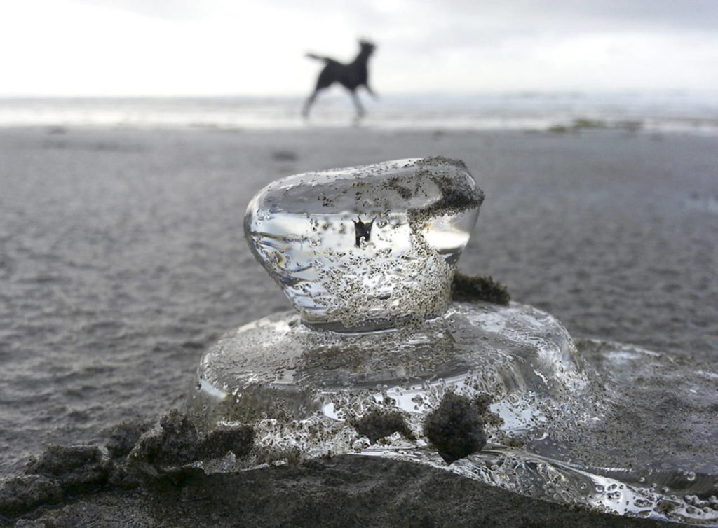 ‘Kindred Spirits’ on display for annual Studio Tour and Auction | The ...