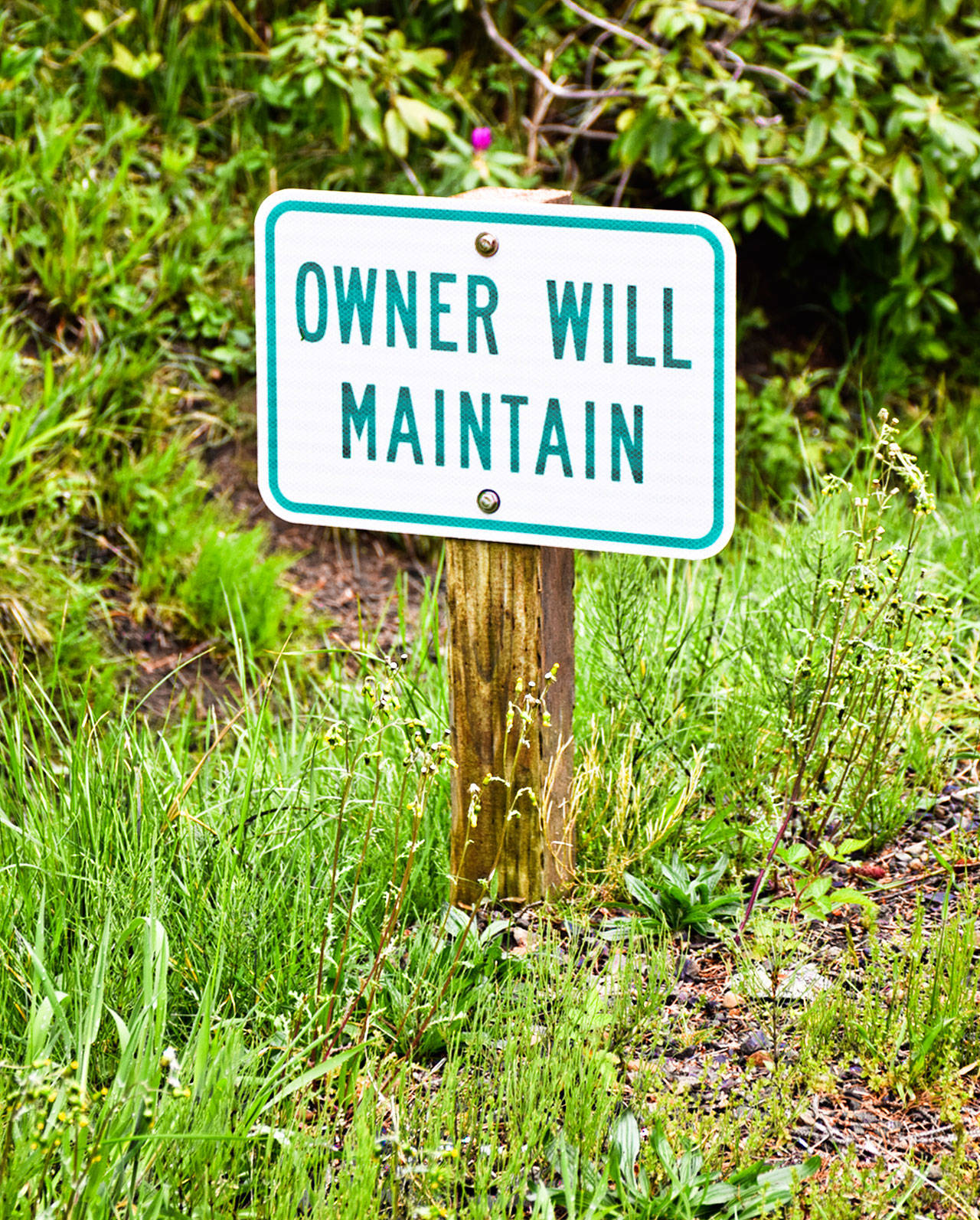 ‘Concerns for driver’s safety’ halt OS roadside weed spraying | The ...