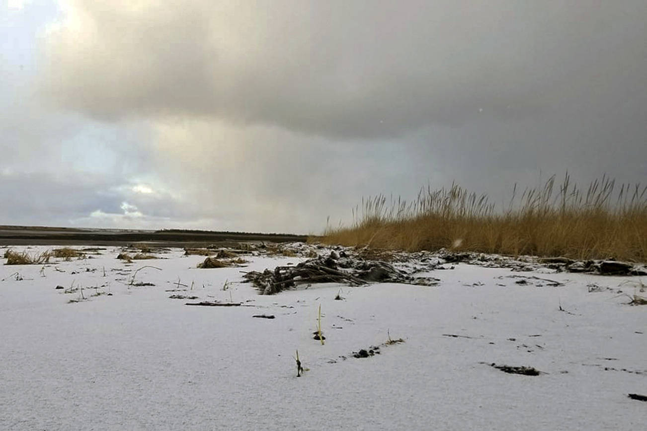 Cool pics: Images from “Snowmageddon 2020” | The Daily World