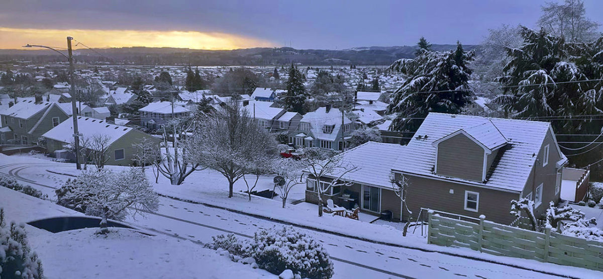 Cool pics: Images from “Snowmageddon 2020” | The Daily World