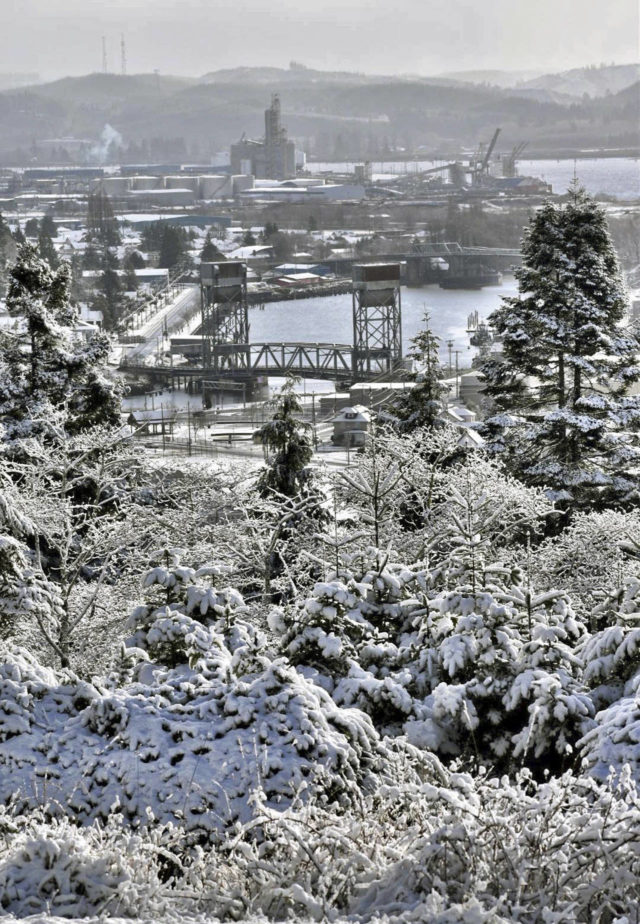 Cool pics: Images from “Snowmageddon 2020” | The Daily World