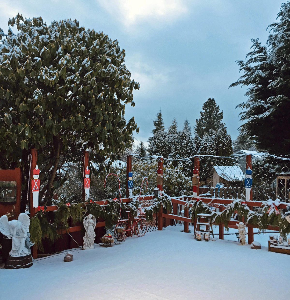 Cool pics: Images from “Snowmageddon 2020” | The Daily World