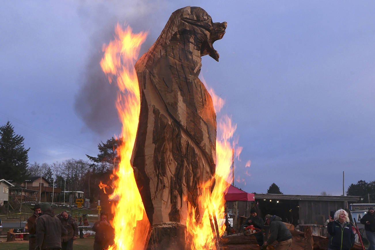 Burning Bear roars into 12th year | The Daily World