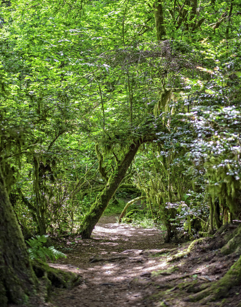 ‘Magical’ Weatherwax preserve a hard-fought treasure | The Daily World