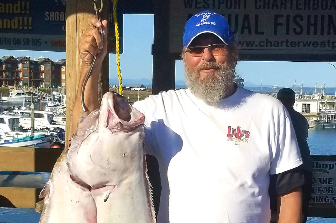 Westport charter fleet experiencing busy summer | The Daily World