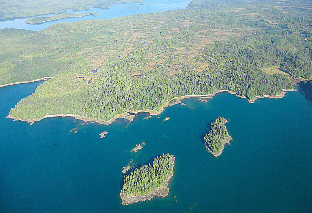 Interior approves logging in Tongass National Forest amid Alaska timber ...