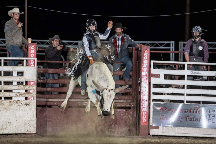 Local bullrider wins, on cusp of pro circuit | The Daily World