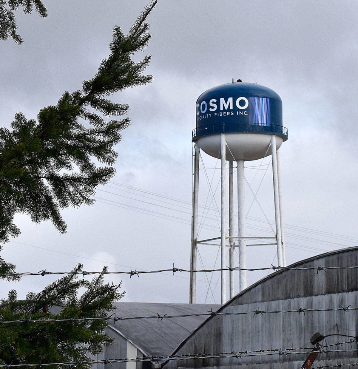 Cosmo Specialty Fibers nearing full production after 8-month shutdown ...