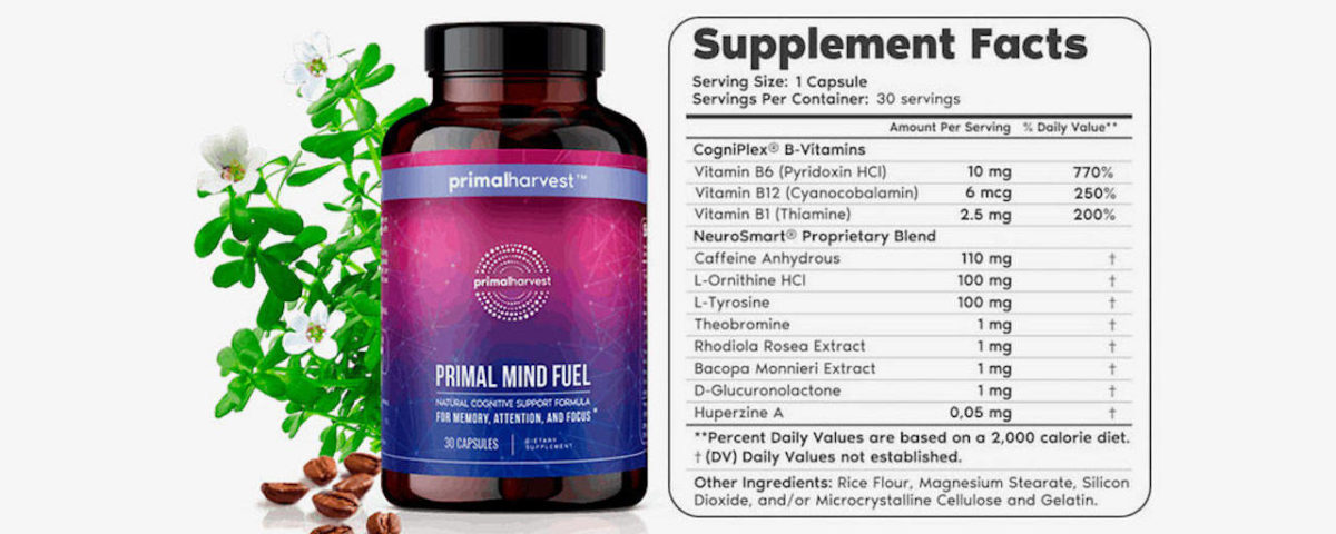 Primal Mind Fuel Reviews – Primal Harvest Brain Booster | The Daily World