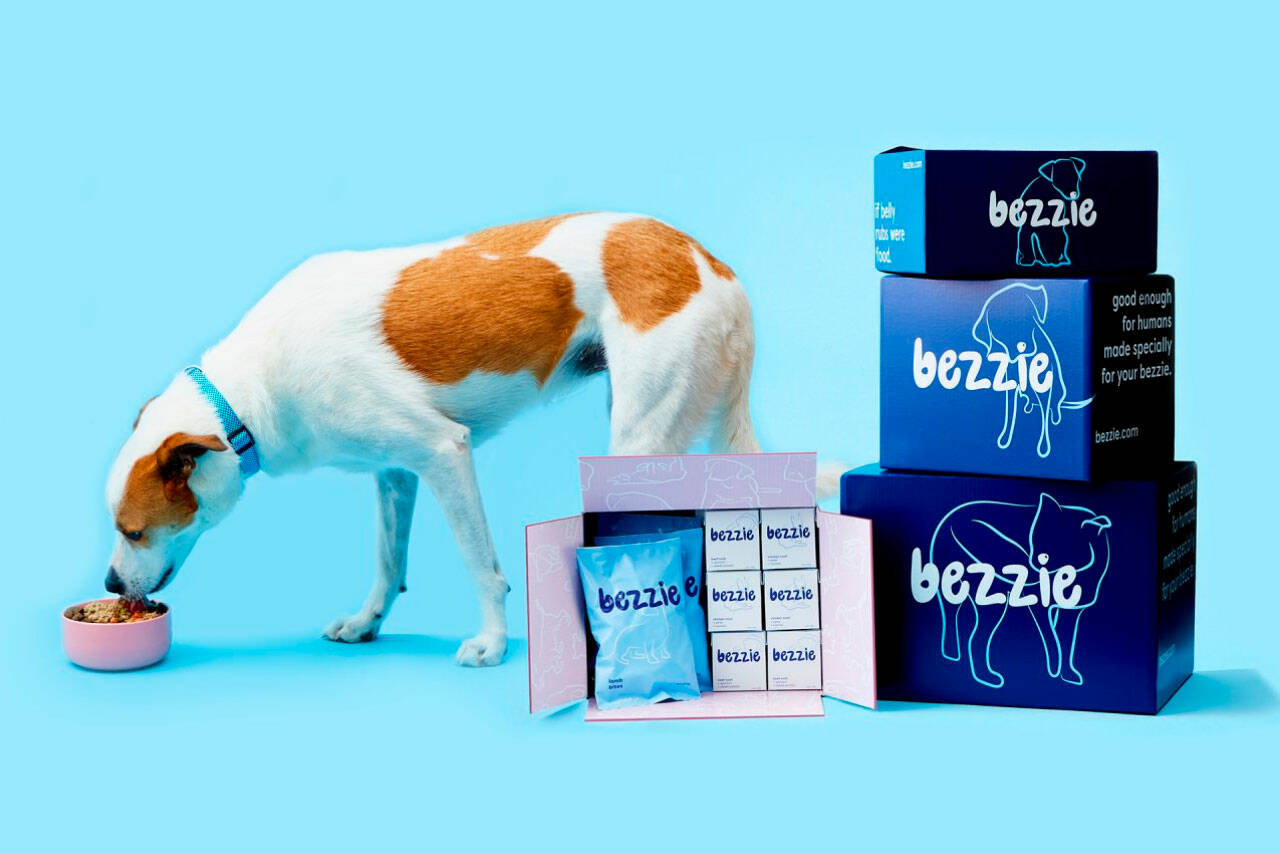 Bezzie Reviews - Is the Dog Food Delivery Meal Plan Worth It? | The ...