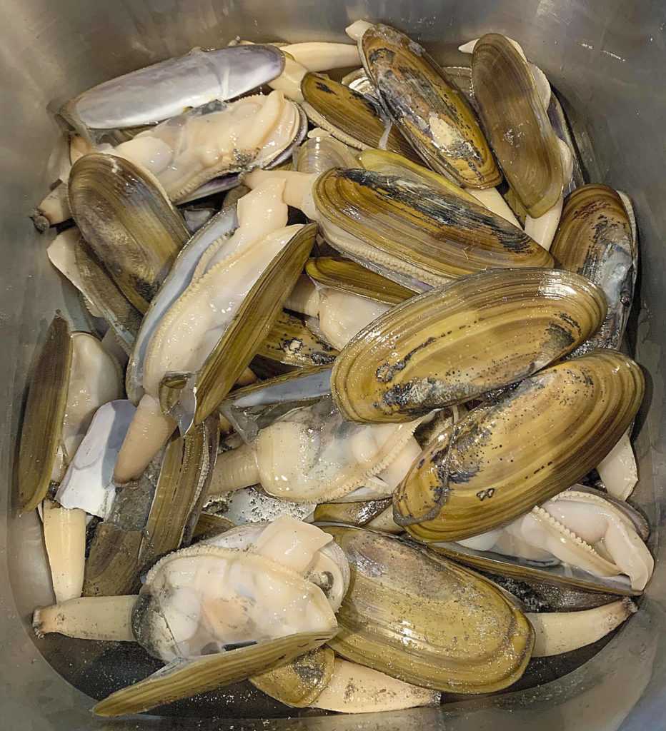 Small size of harvestable razor clams causes cancellation of harvest at ...