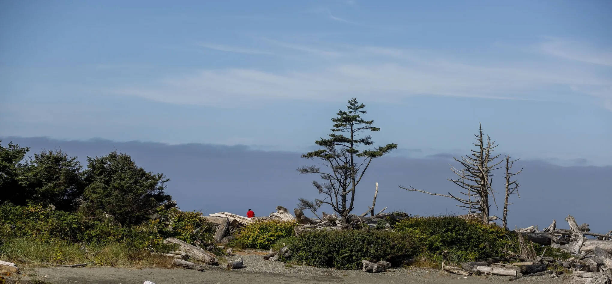 Quinault gets $25 million for Taholah relocation | The Daily World