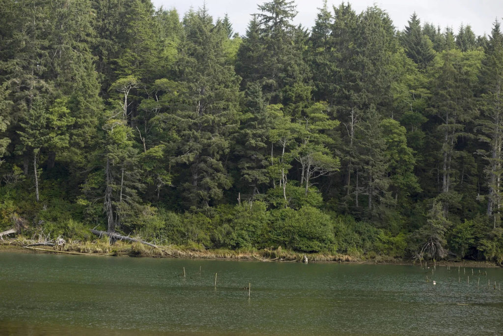 Quinault gets $25 million for Taholah relocation | The Daily World