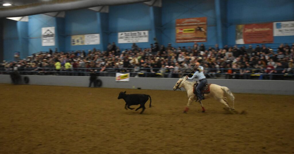 Grays Harbor Indoor Pro Rodeo sees record turnout; mass excitement ...