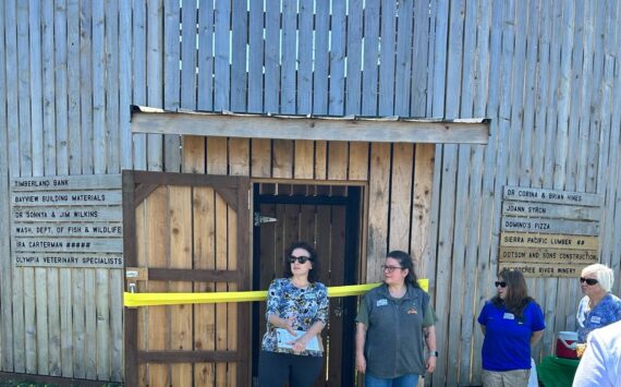 Raymond Boy Scout troop builds kayak from salvaged lumber | The Daily World