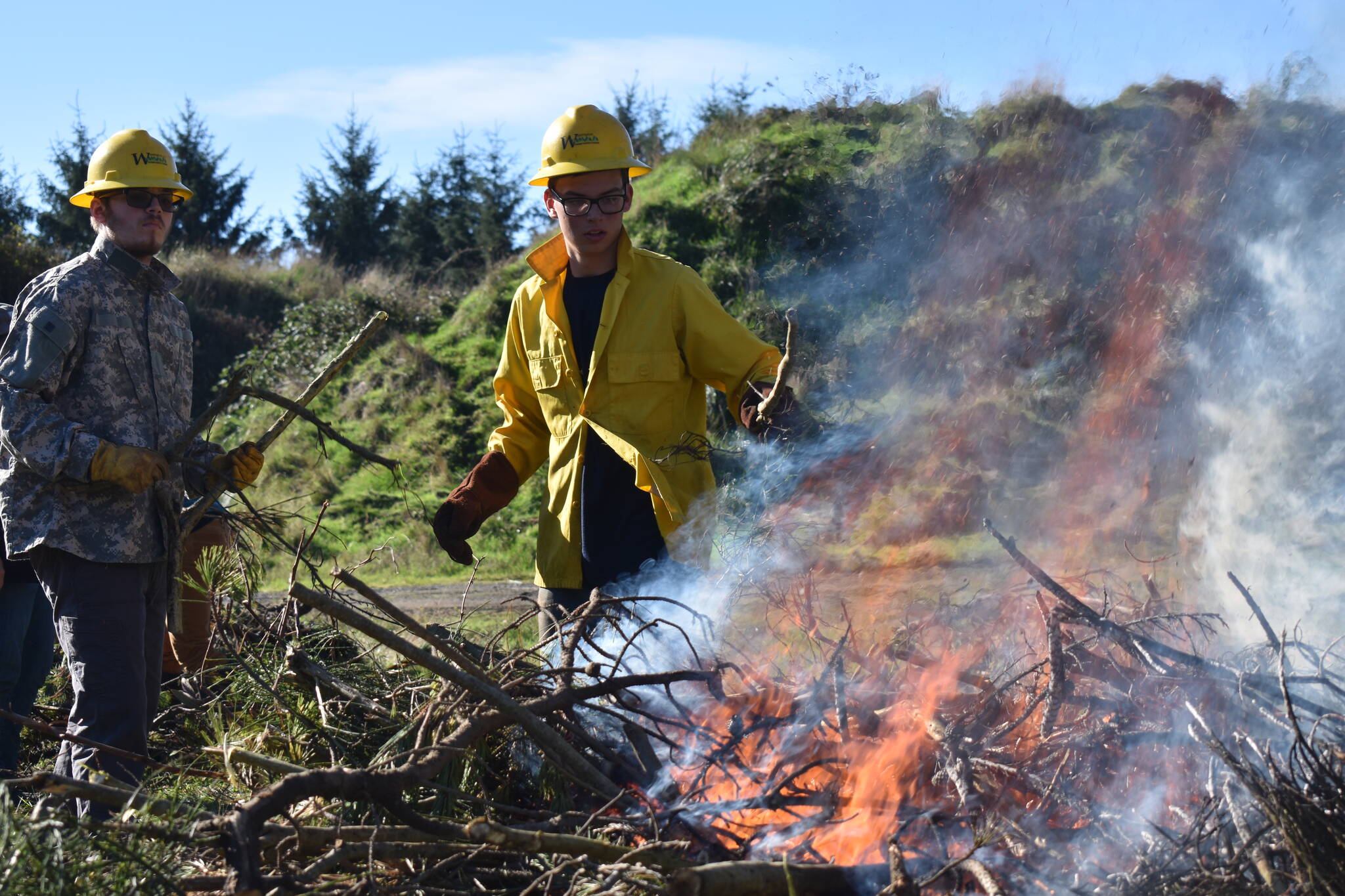 Climate solutions collide at Shores Scotch broom site | The Daily World