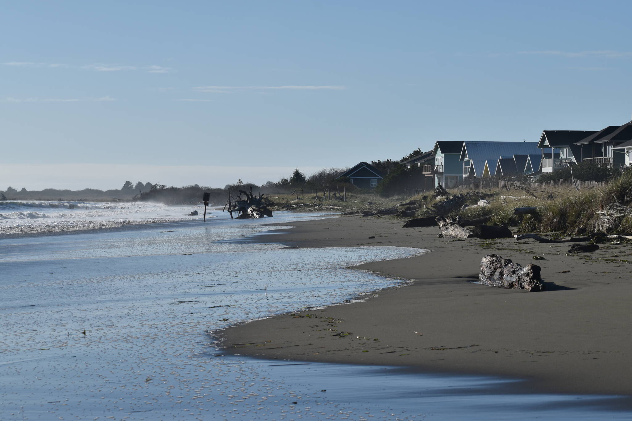 Shoreline at full bore: Ocean Shores embarks on effort to save south ...