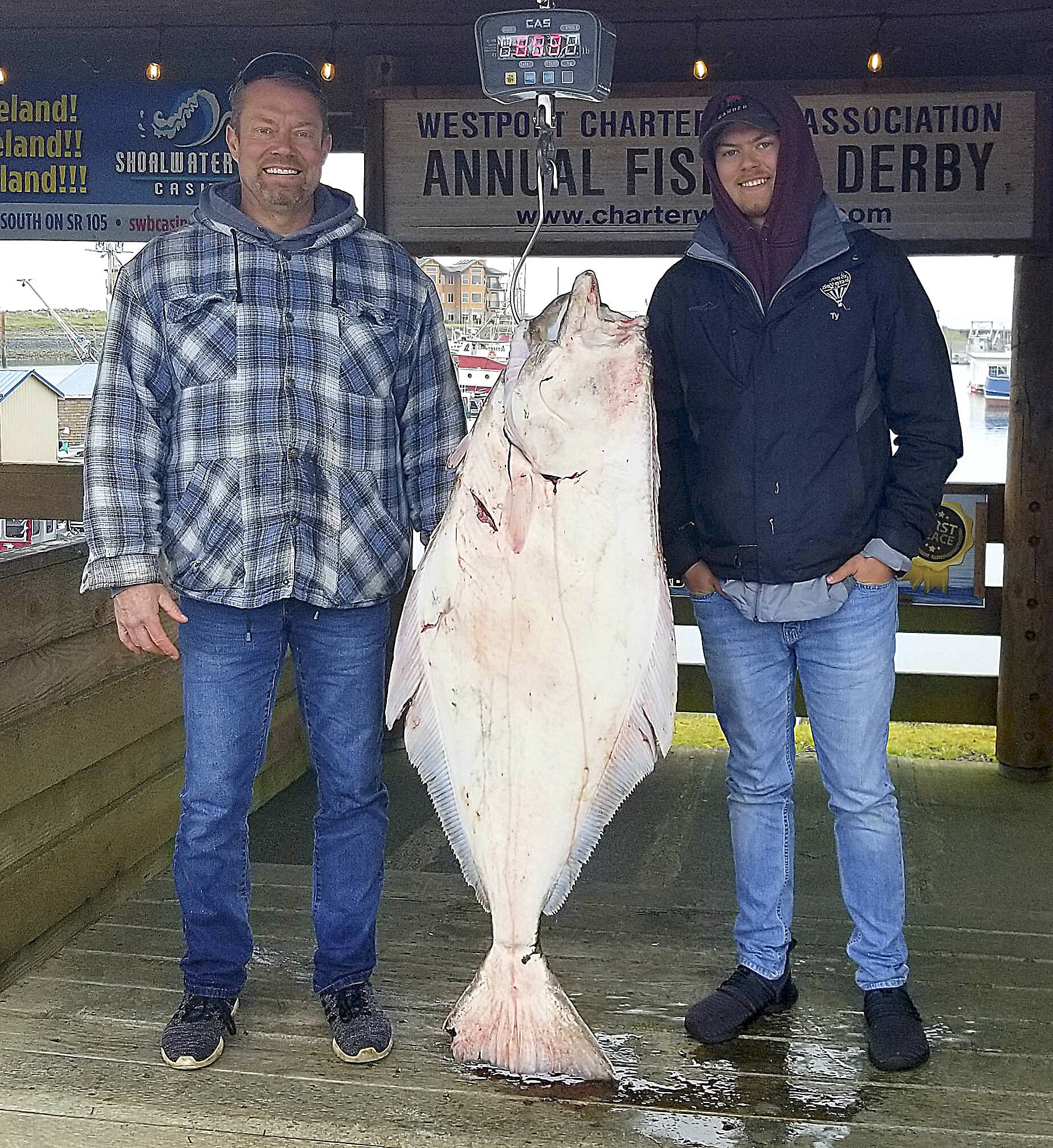 Small part of Washington sport halibut share on the table at fishery ...