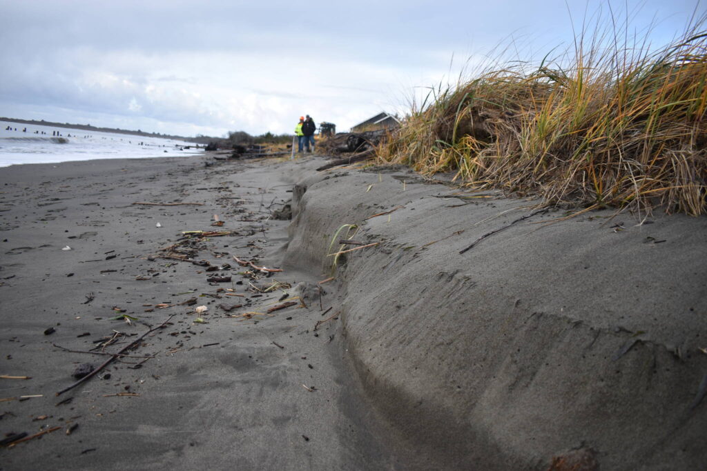 Sacrificial sand: Berm to hold off waves in Ocean Shores, for now | The ...