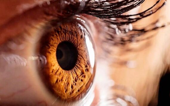 Colleen R. Ferrier | The Daily World