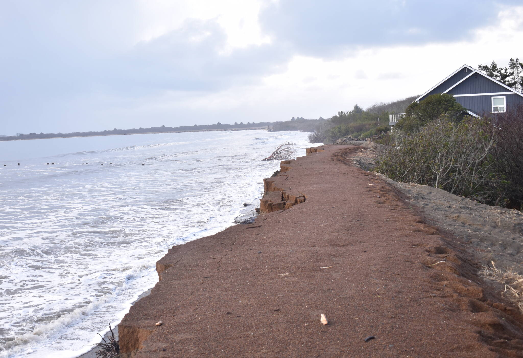 Waves batter Ocean Shores sand berm; officials look to ‘harder’ option ...