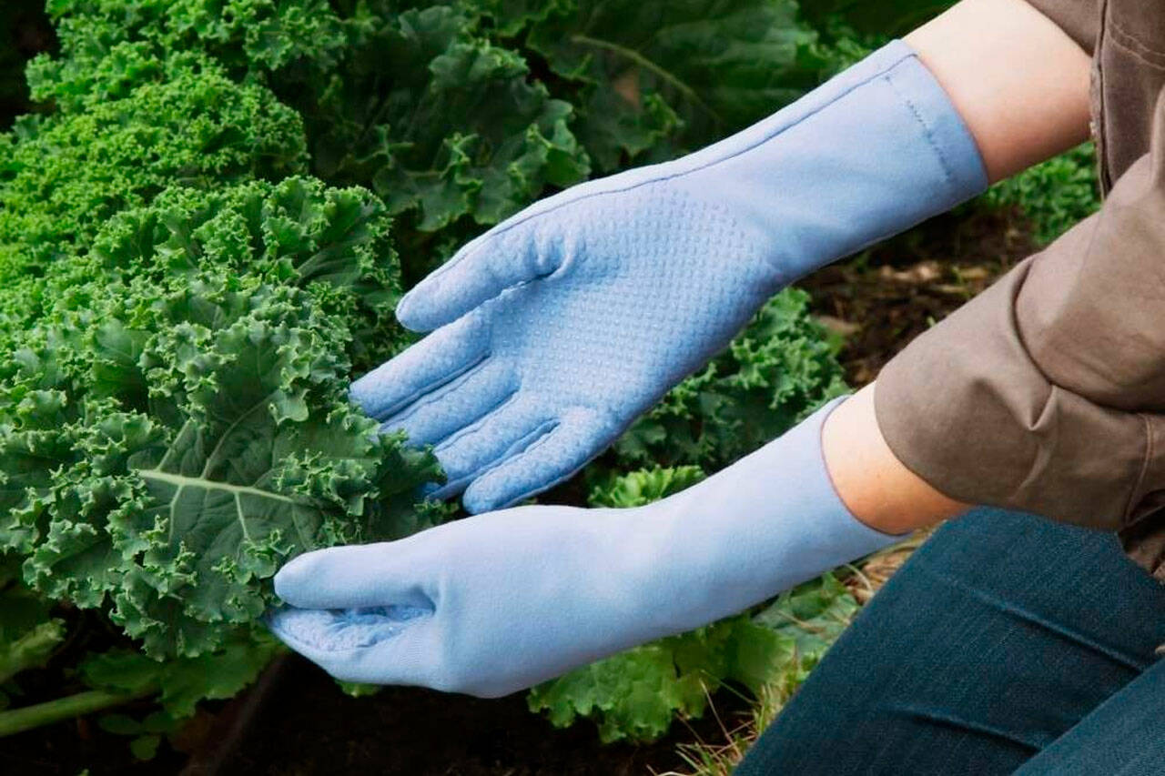 Foxgloves Reviews - Know the Facts About Keeping Your Gardening Hands ...