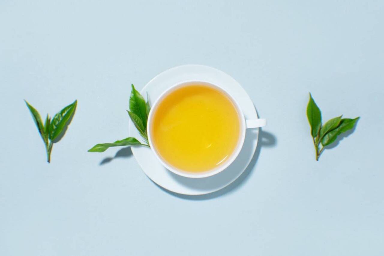 Ranking the Top-Rated Best THC Detox Methods of 2024 That Work for ...