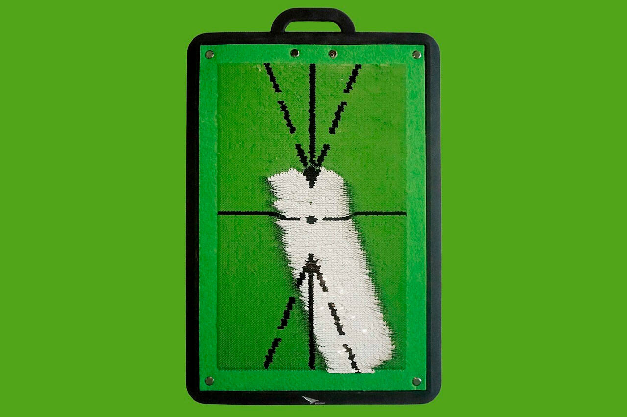 Birdie Practice Mat Pro Reviews - Does It Work? What They Won’t Say ...