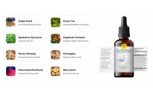 ZenCortex Review: Does it Really Work as Advertised? | The Daily World