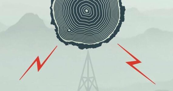 Opinion | The Daily World