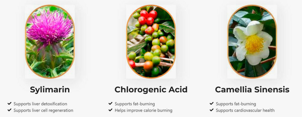 Slim Pulse Review: Is It Really Worth Buying? | The Daily World