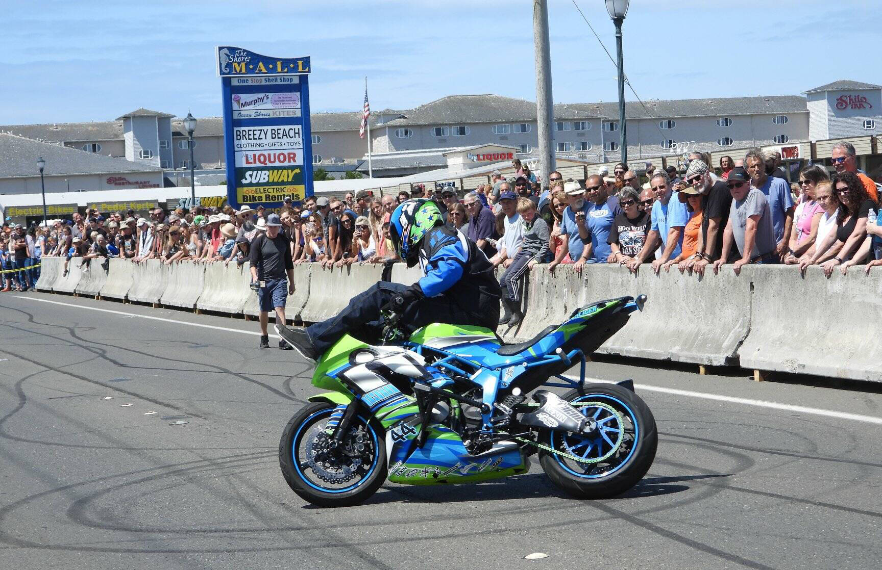 Go Hog Wild | The Daily World