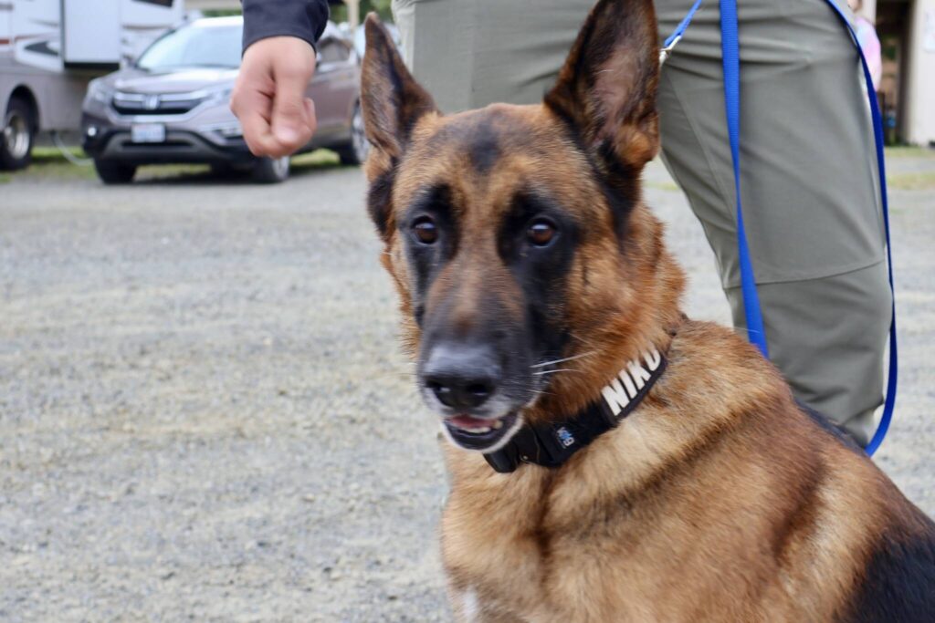 Badge bash: hundreds turn out for National Night Out | The Daily World