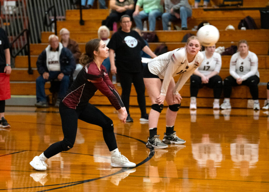 Prep Volleyball Roundup: Three Twin Harbors teams advance to semifinals ...