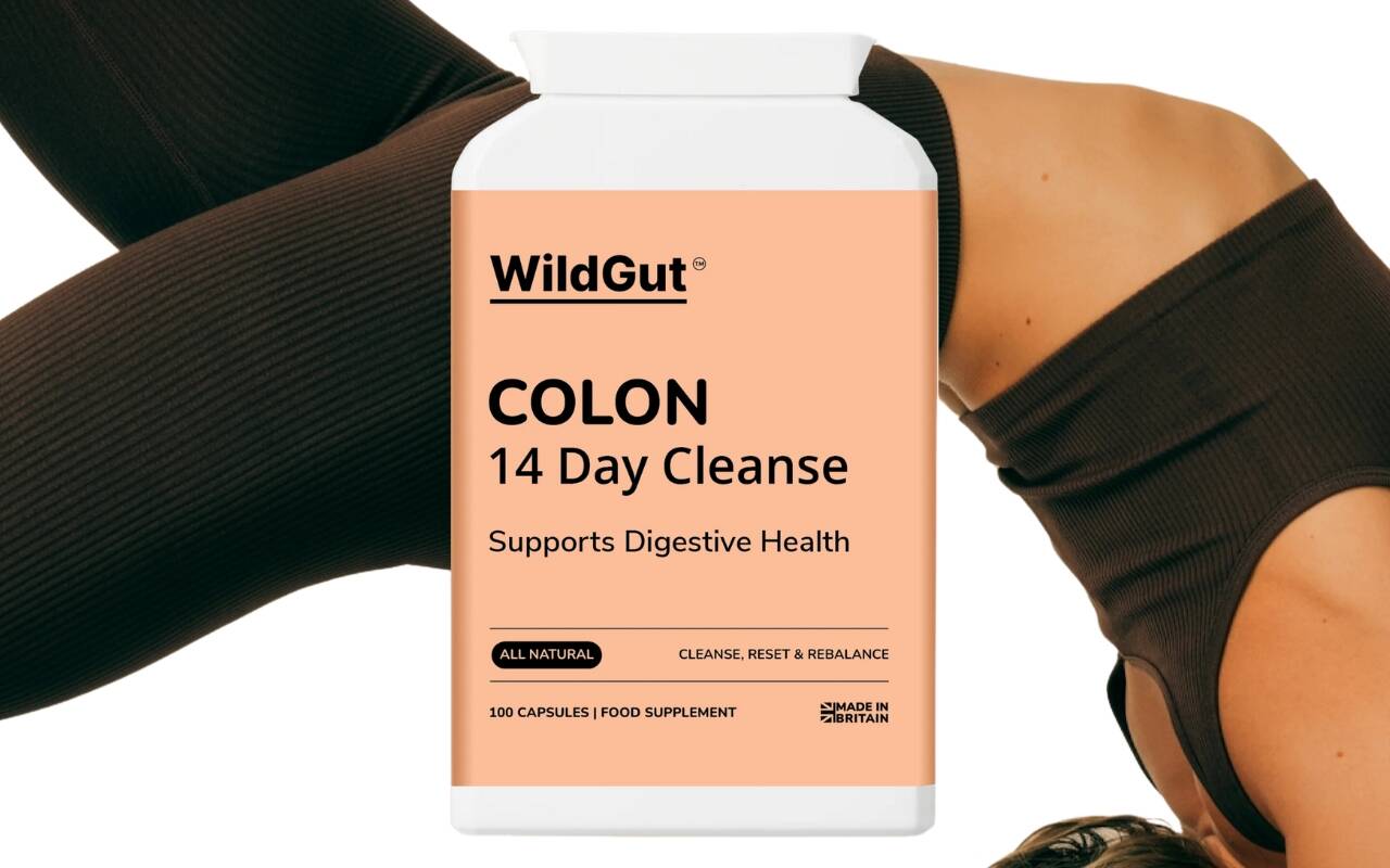 WildGut: The Game-Changing Supplement for Your Dog’s Digestive Health ...