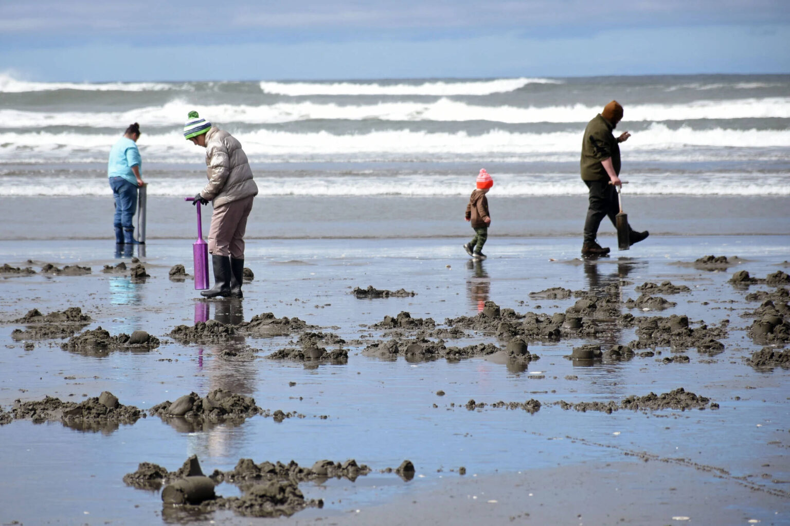 WDFW approves coastal razor clam digs starting Jan. 10 | The Daily World