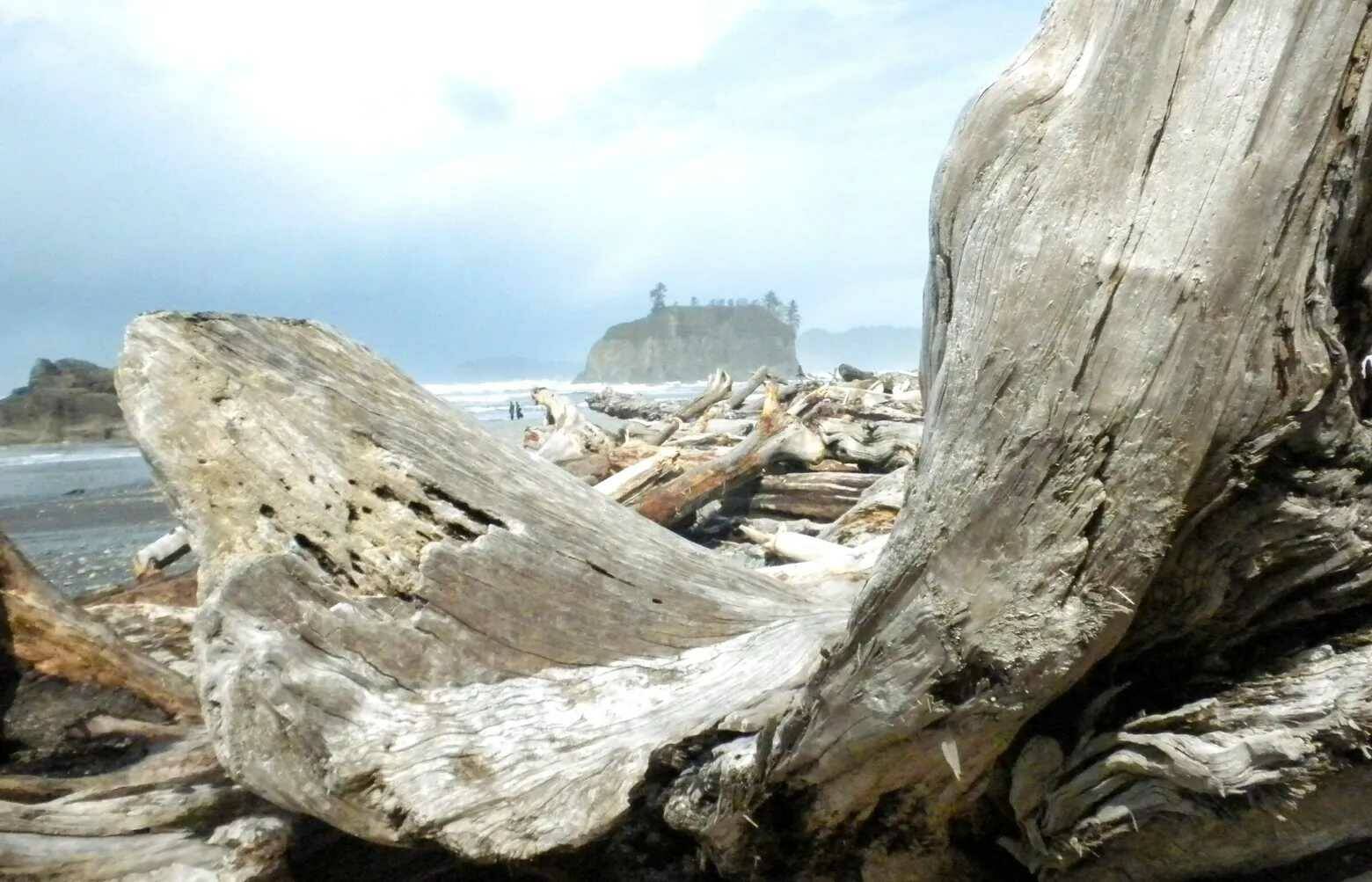 Ruby Beach picked among best beaches in the world | The Daily World