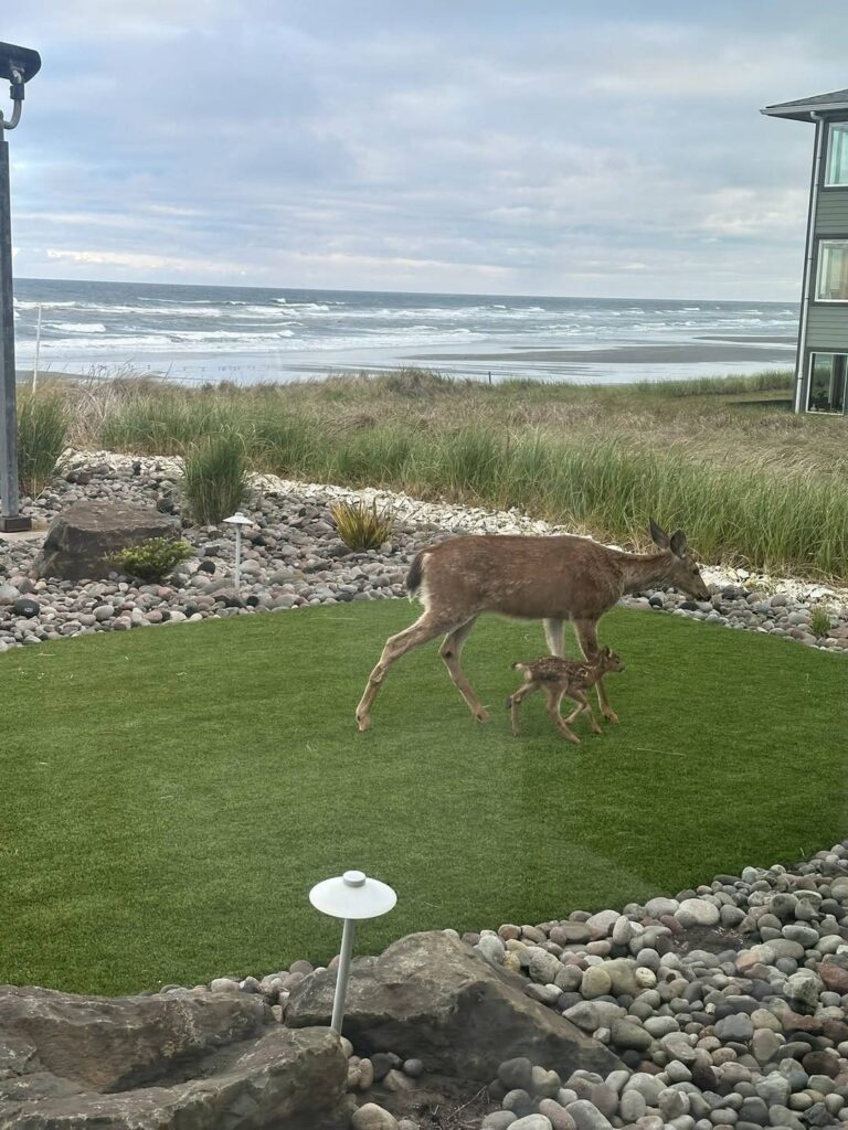 Memorial weekend sprinkled fun with remembrances | The Daily World