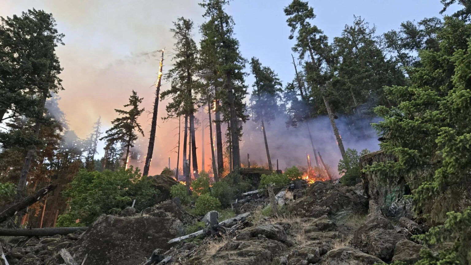 Bear Gulch Fire continues to smolder near Lake Cushman | The Daily World