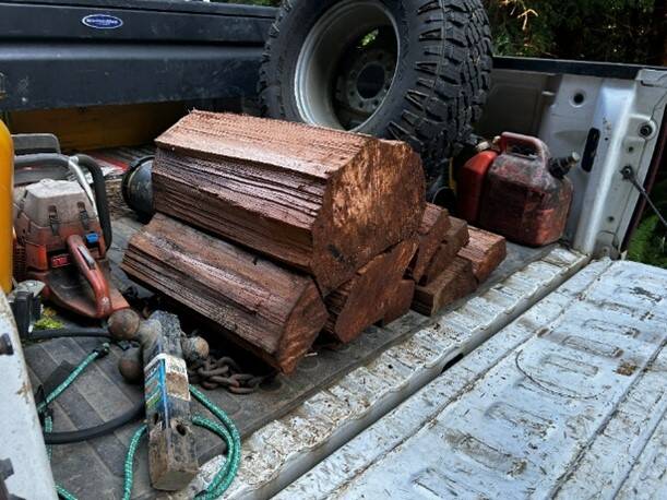 An WDFW officer foils cedar tree thefts near Aberdeen | The Daily World