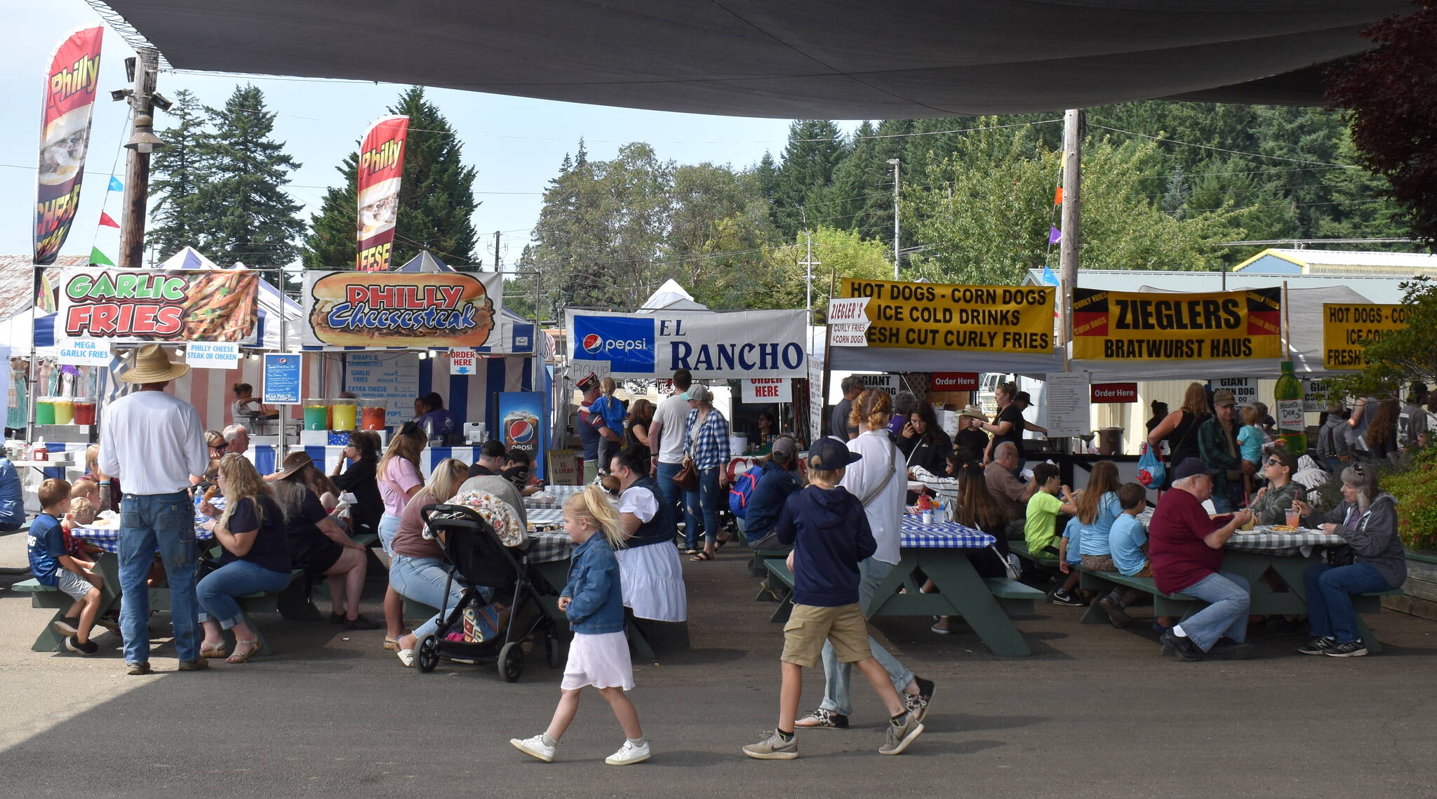 Grays Harbor County Fair offers more than usual fare | The Daily World